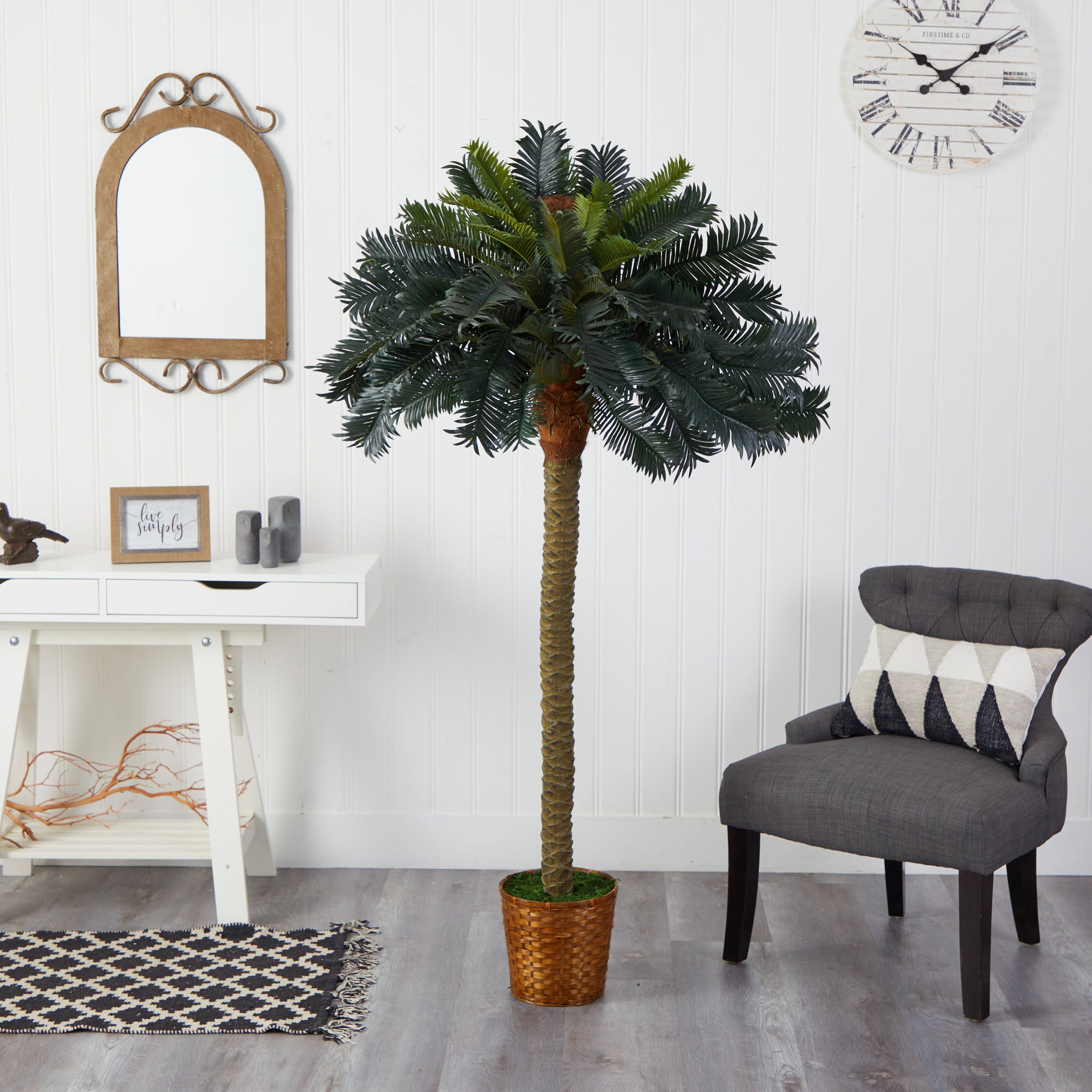6' Sago Palm Silk Tree | Nearly Natural