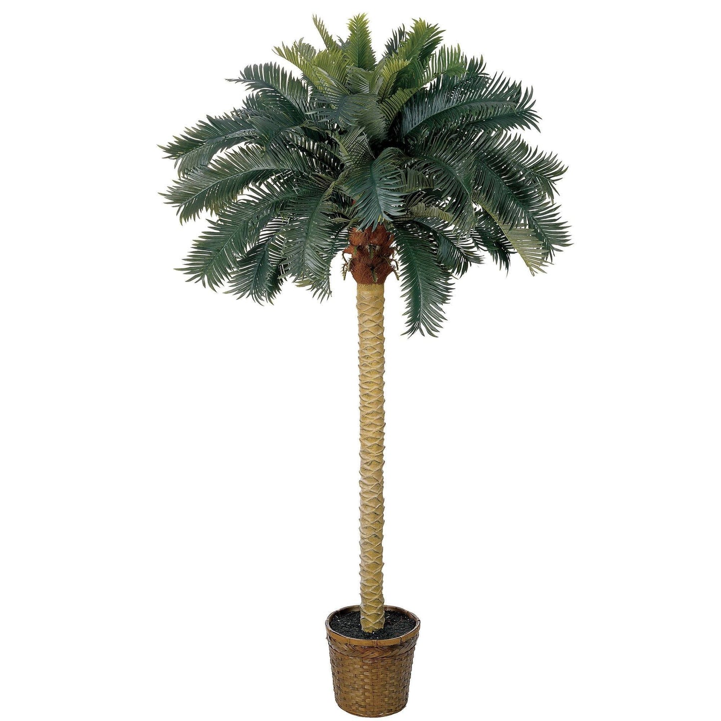 6' Sago Palm Silk Tree | Nearly Natural