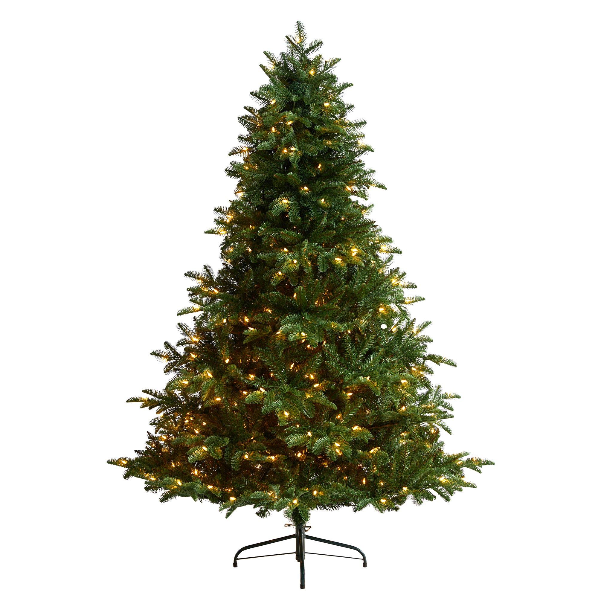 6’ South Carolina Spruce Christmas Tree with 400 White Warm Lights and ...