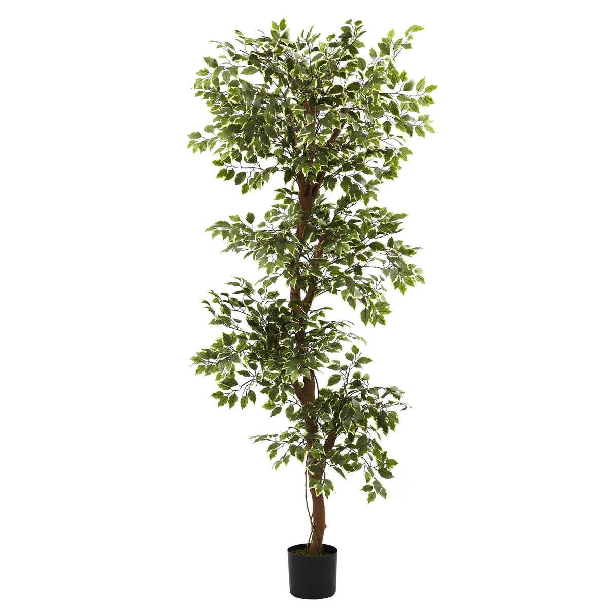 Artificial Ficus Trees | Fake Ficus Trees | Nearly Natural