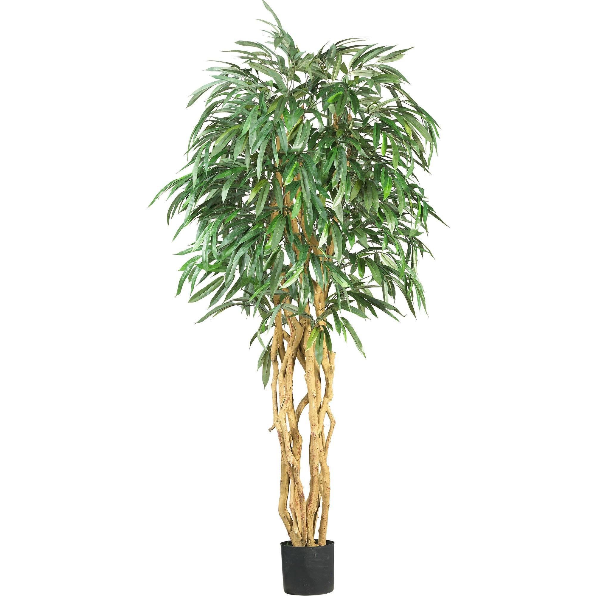 6' Weeping Ficus Silk Tree | Nearly Natural