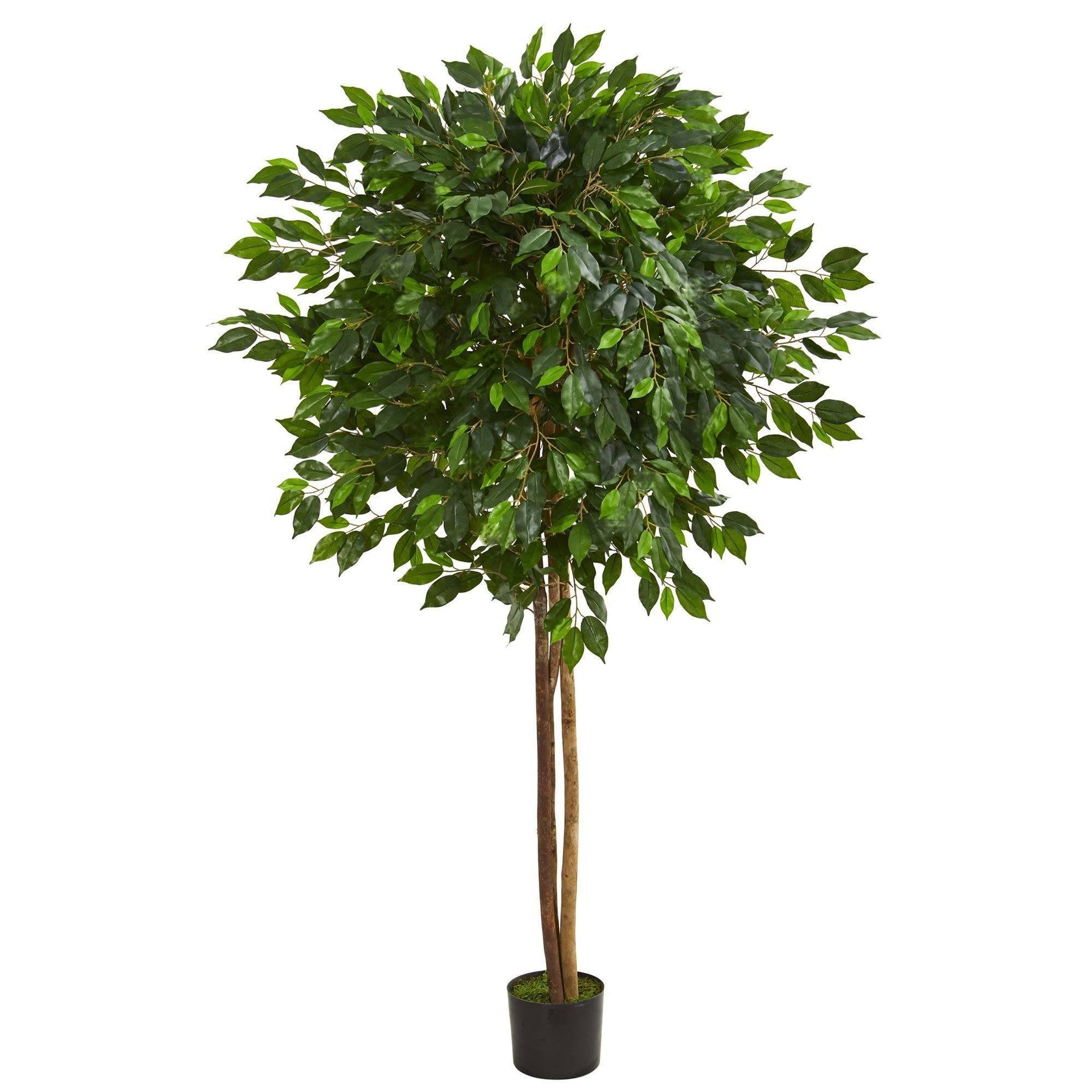 6.5’ Ficus Artificial Tree | Nearly Natural