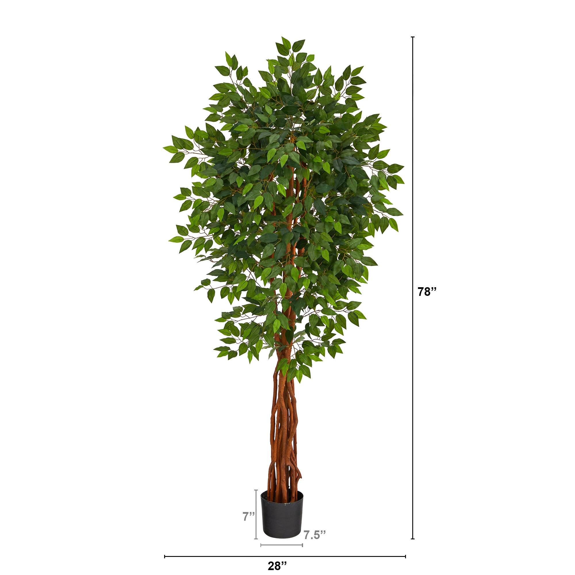 6.5’ Super Deluxe Ficus Artificial Tree with Natural Trunk | Nearly Natural