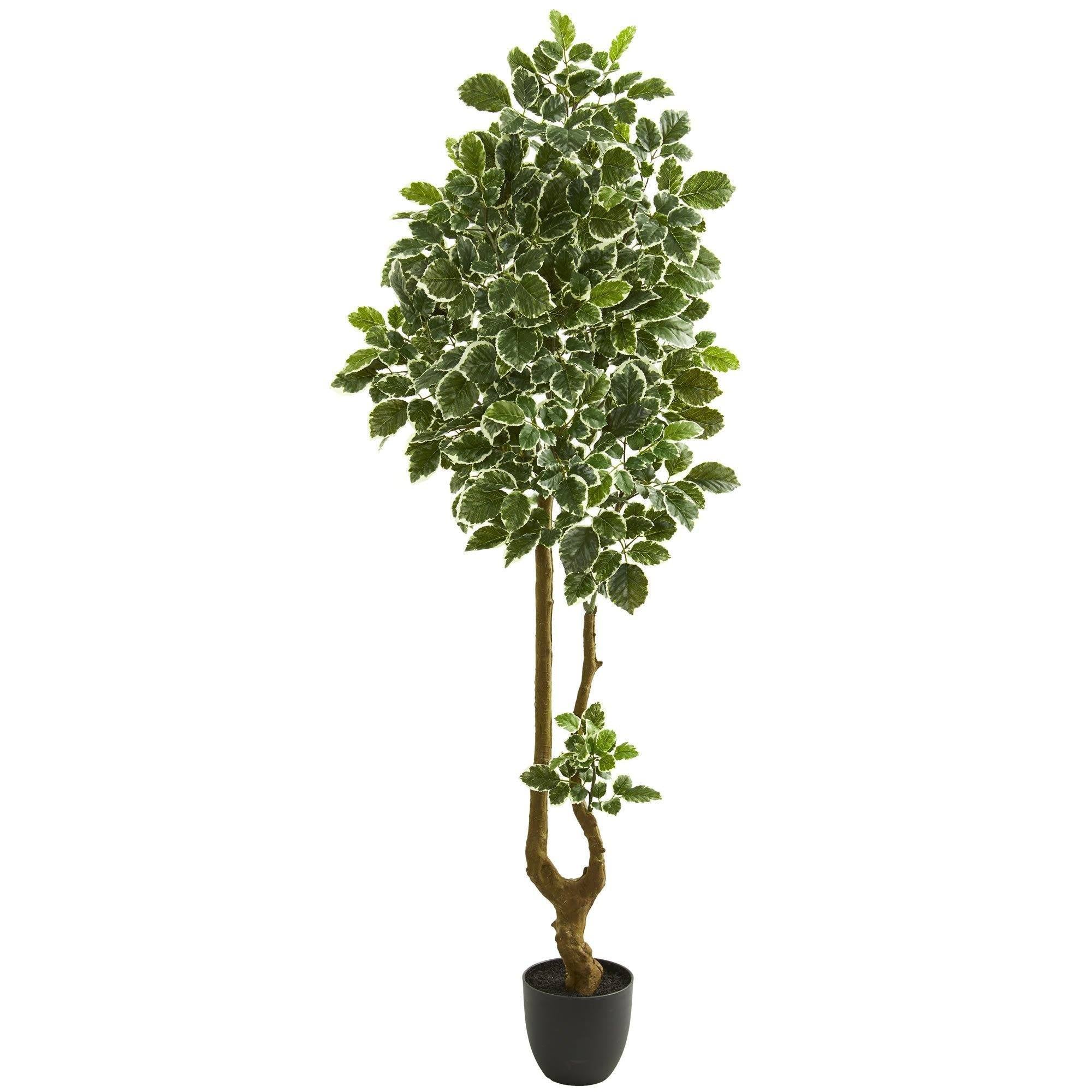 6.5’ Variegated Aralia Artificial Tree | Nearly Natural