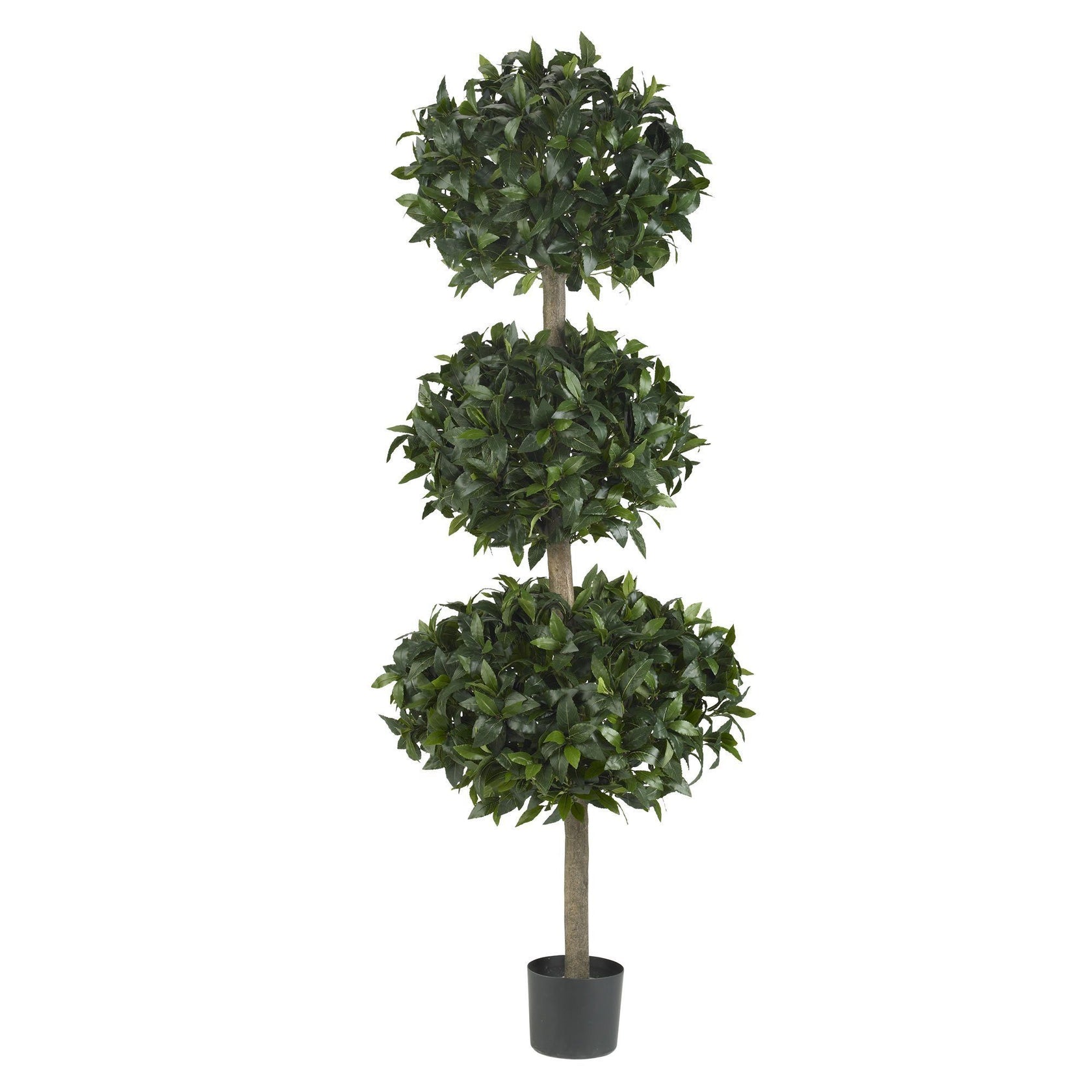 69" Sweet Bay Triple Ball Tree | Nearly Natural"