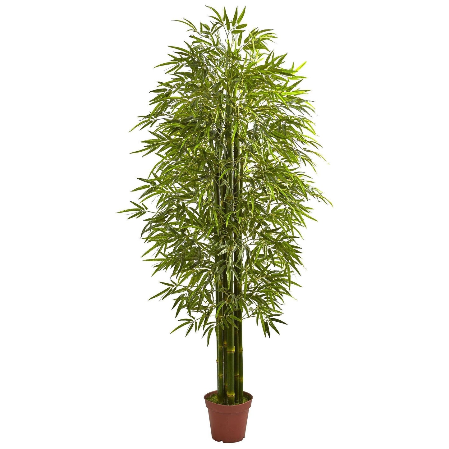 7' Bamboo Tree UV Resistant (Indoor/Outdoor) | Nearly Natural