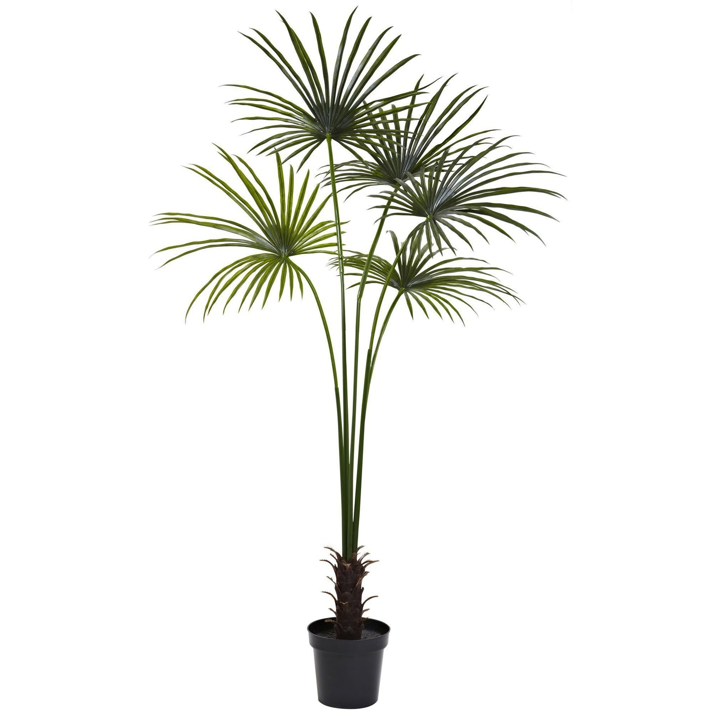 7’ Fan Palm Tree UV Resistant (Indoor/Outdoor) | Nearly Natural