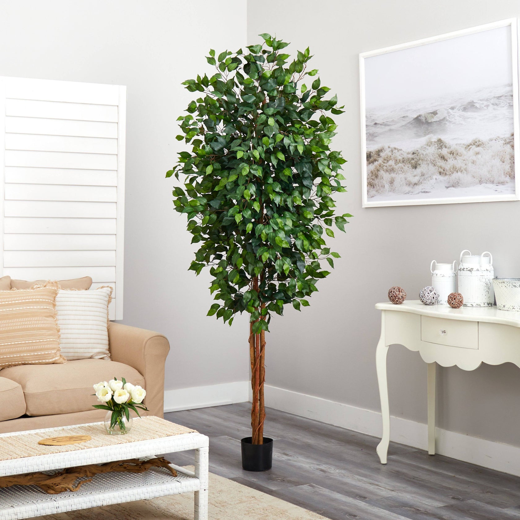 7' Ficus Silk Tree | Nearly Natural