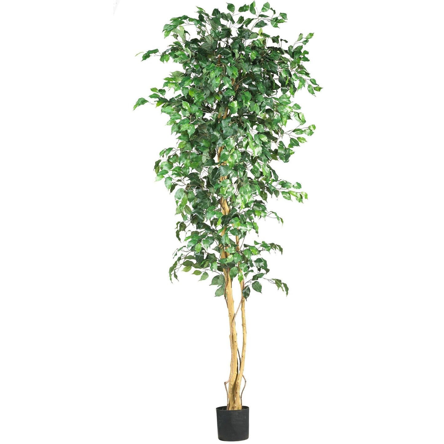 7' Ficus Silk Tree | Nearly Natural