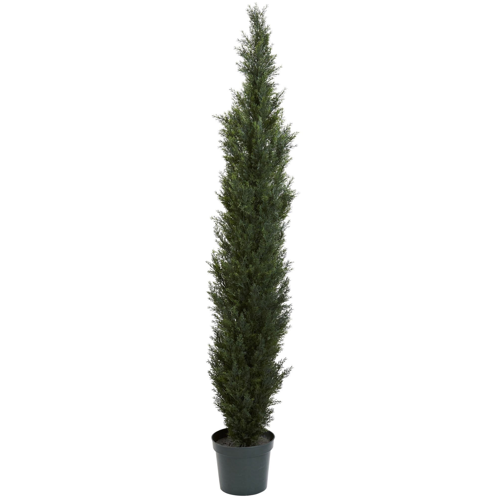 7' Mini Cedar Pine Tree w/3614 Tips in 12” Pot (Two Tone Green ...