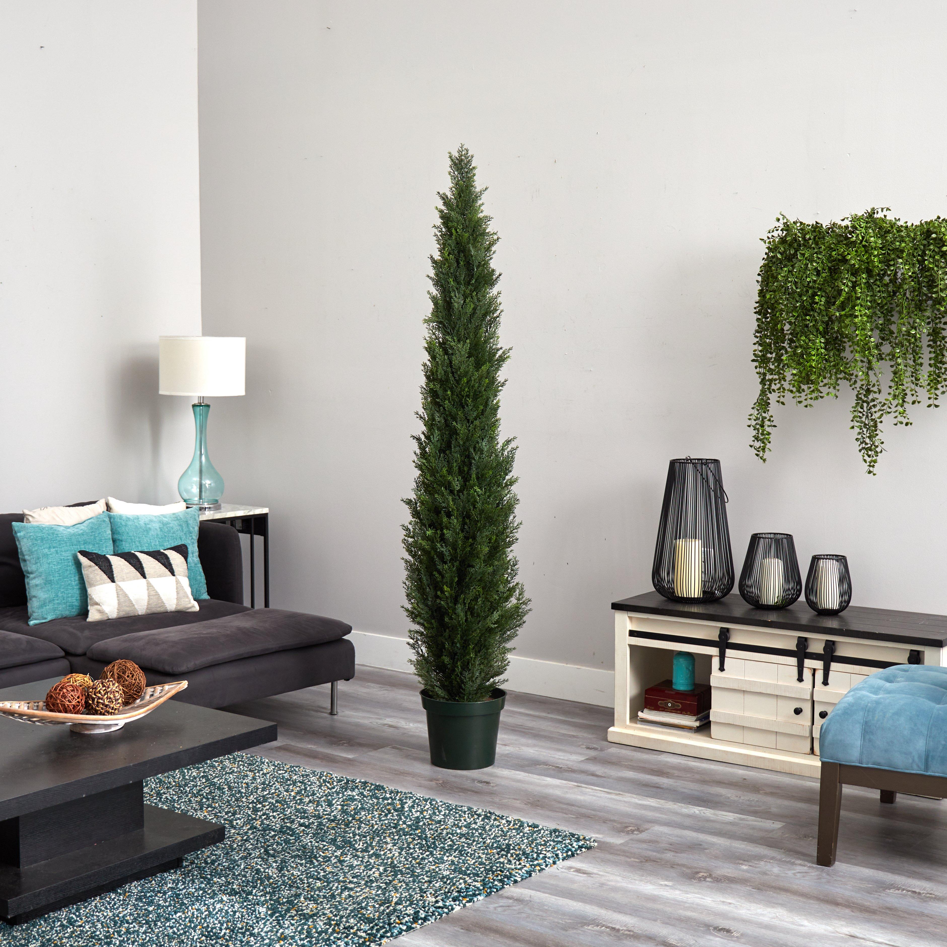 7' Mini Cedar Pine Tree w/3614 Tips in 12” Pot (Two Tone Green ...