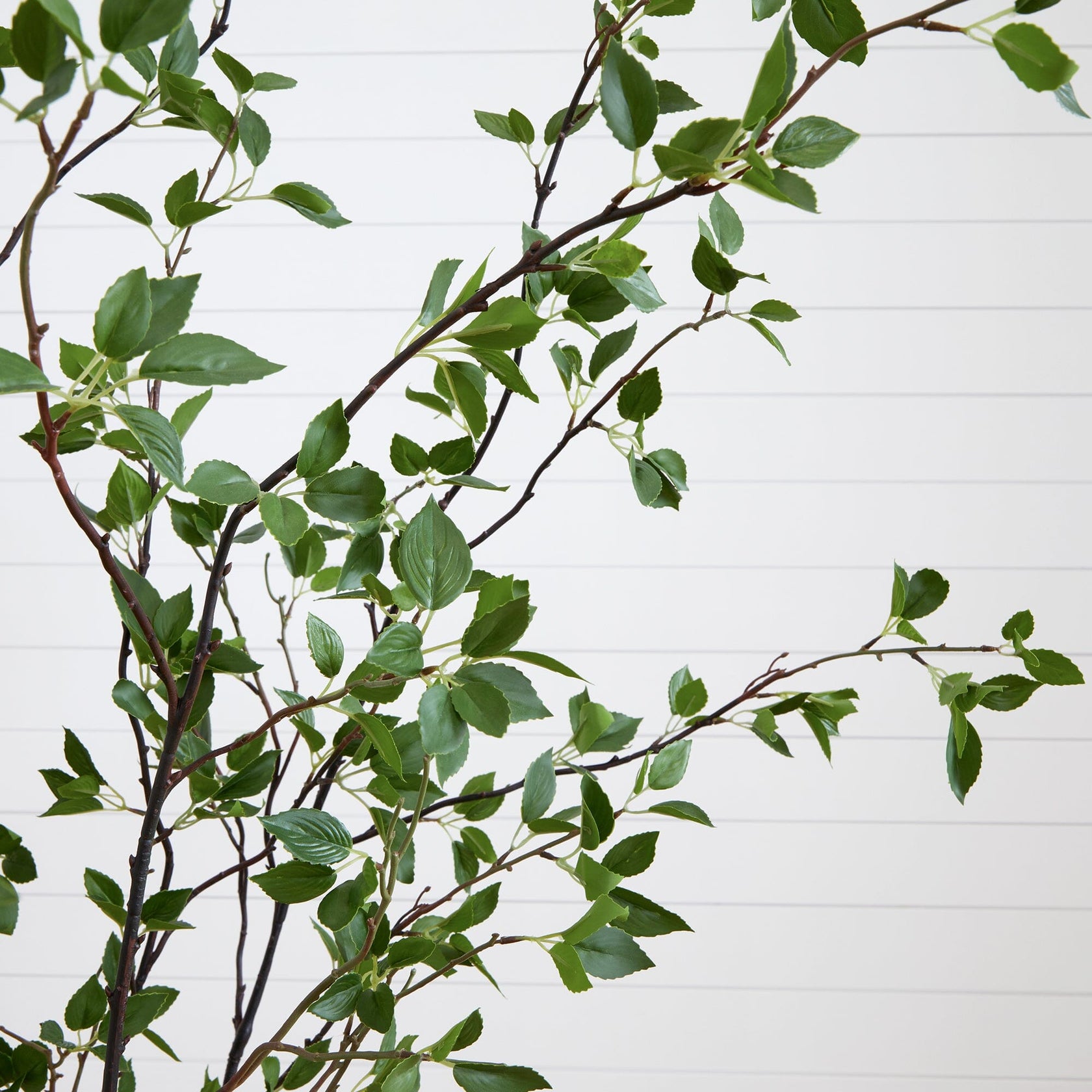 7' Minimalist Citrus Artificial Tree | Nearly Natural