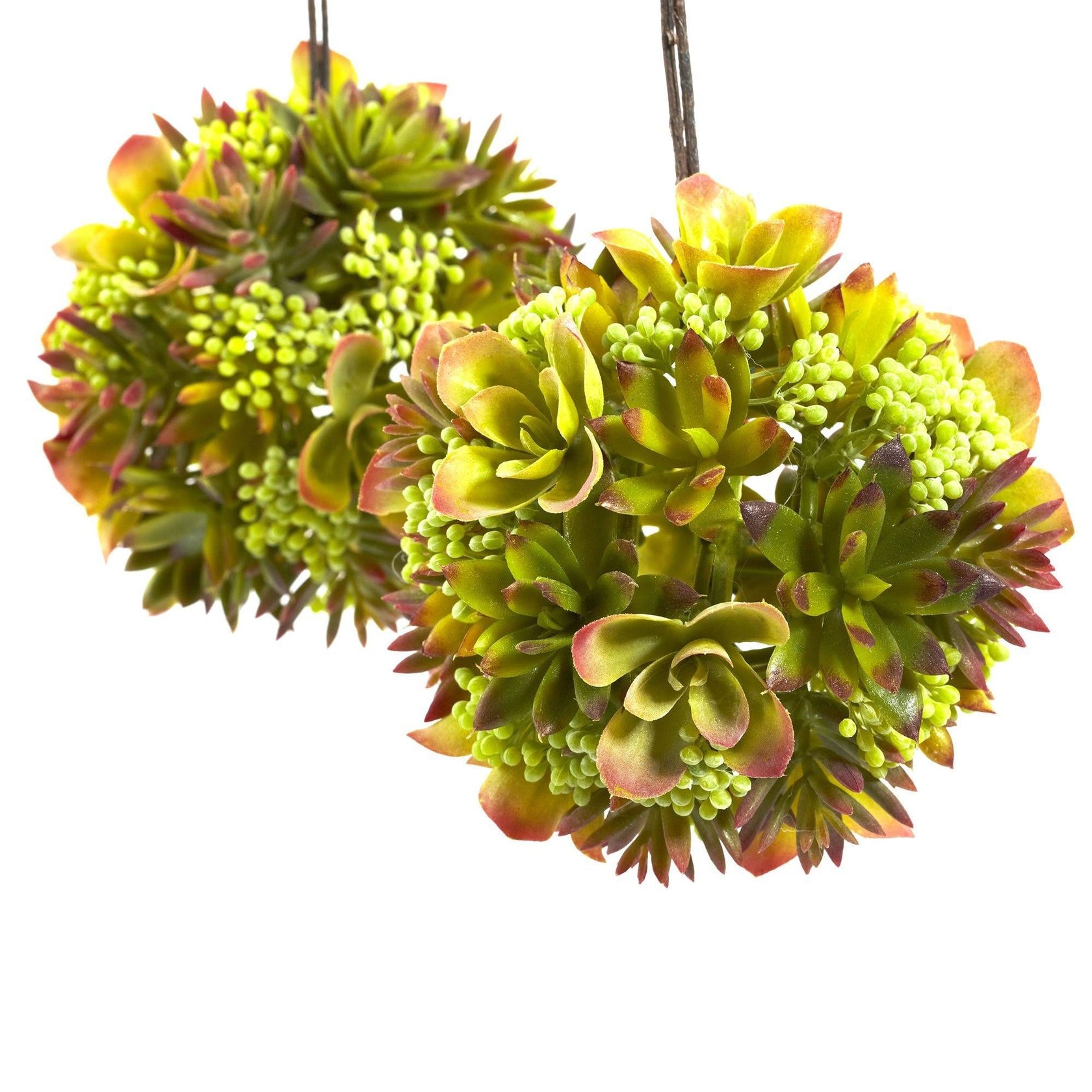 7” Mixed Succulent Hanging Spheres (Set of 2) | Nearly Natural