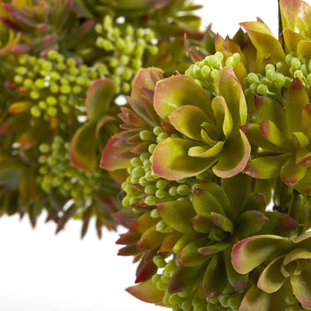 7” Mixed Succulent Hanging Spheres (Set of 2) | Nearly Natural