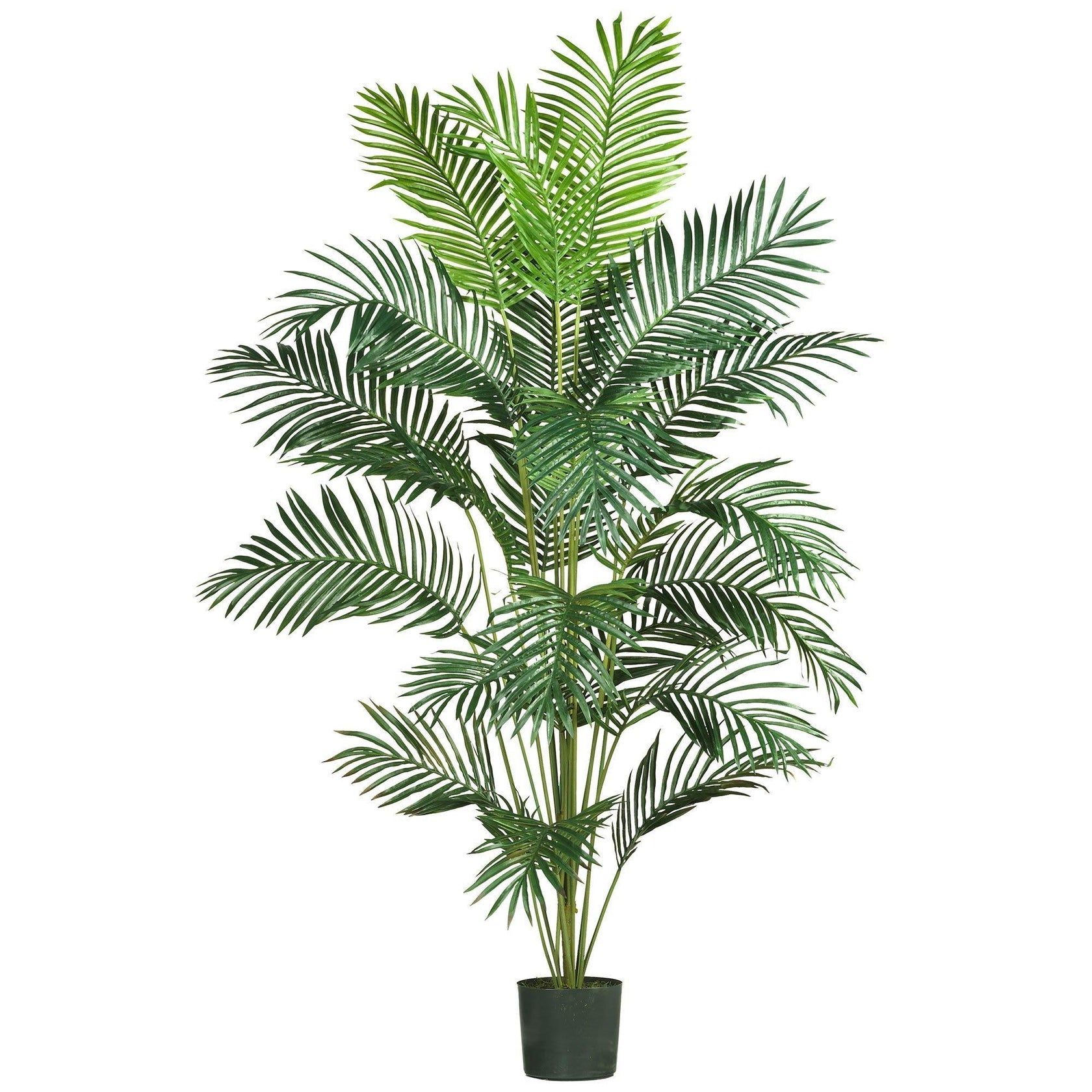 7' Paradise Palm | Nearly Natural