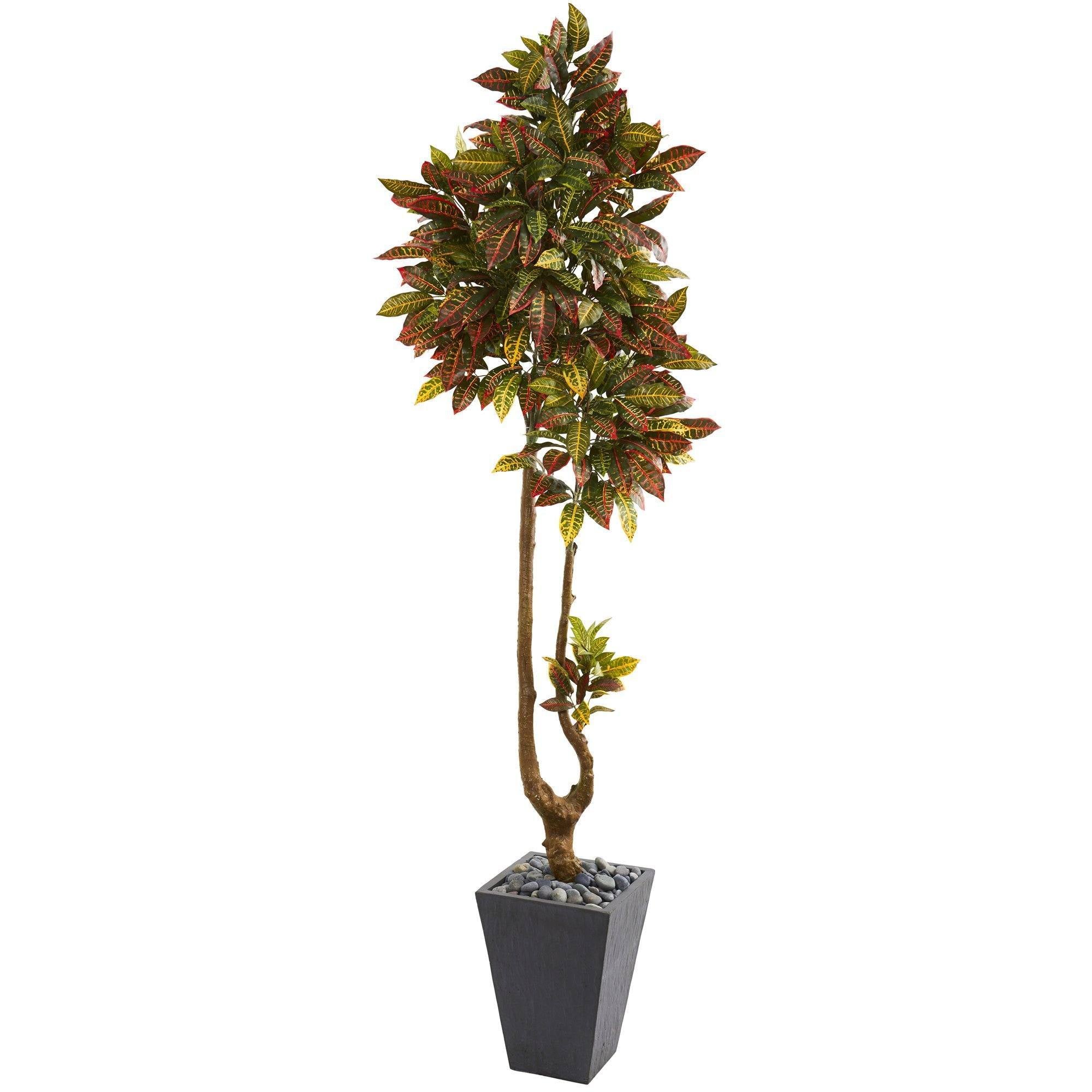 70” Croton Artificial Tree in Slate Planter | Nearly Natural