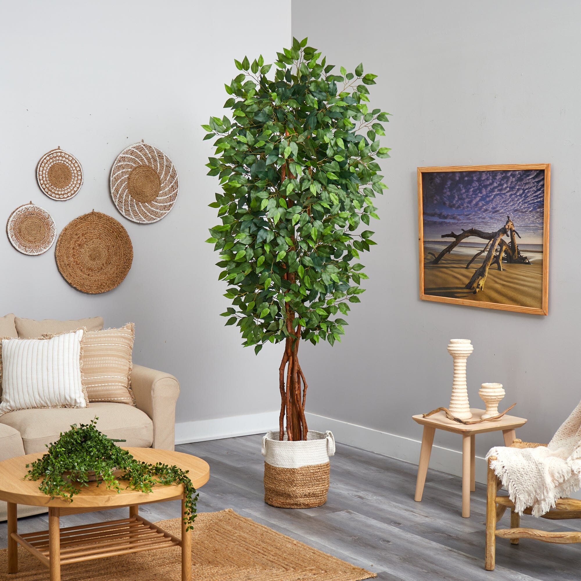 7.5' Artificial Deluxe Ficus Tree with Handmade Jute & Cotton Basket ...