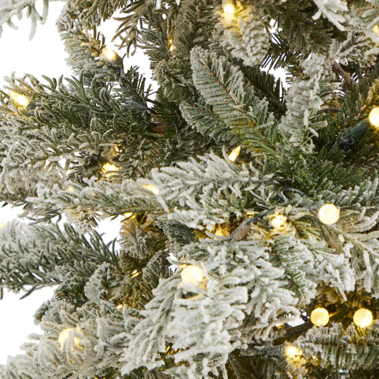 7.5’ Slim Flocked Nova Scotia Spruce Artificial Christmas Tree with 450 ...