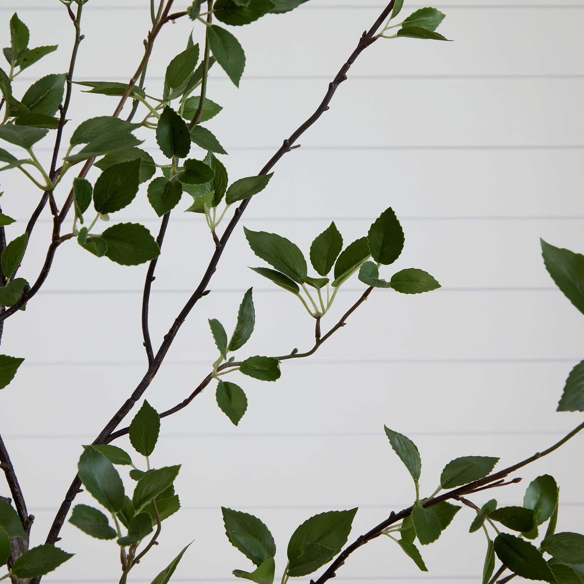 8' Minimalist Citrus Artificial Tree | Nearly Natural