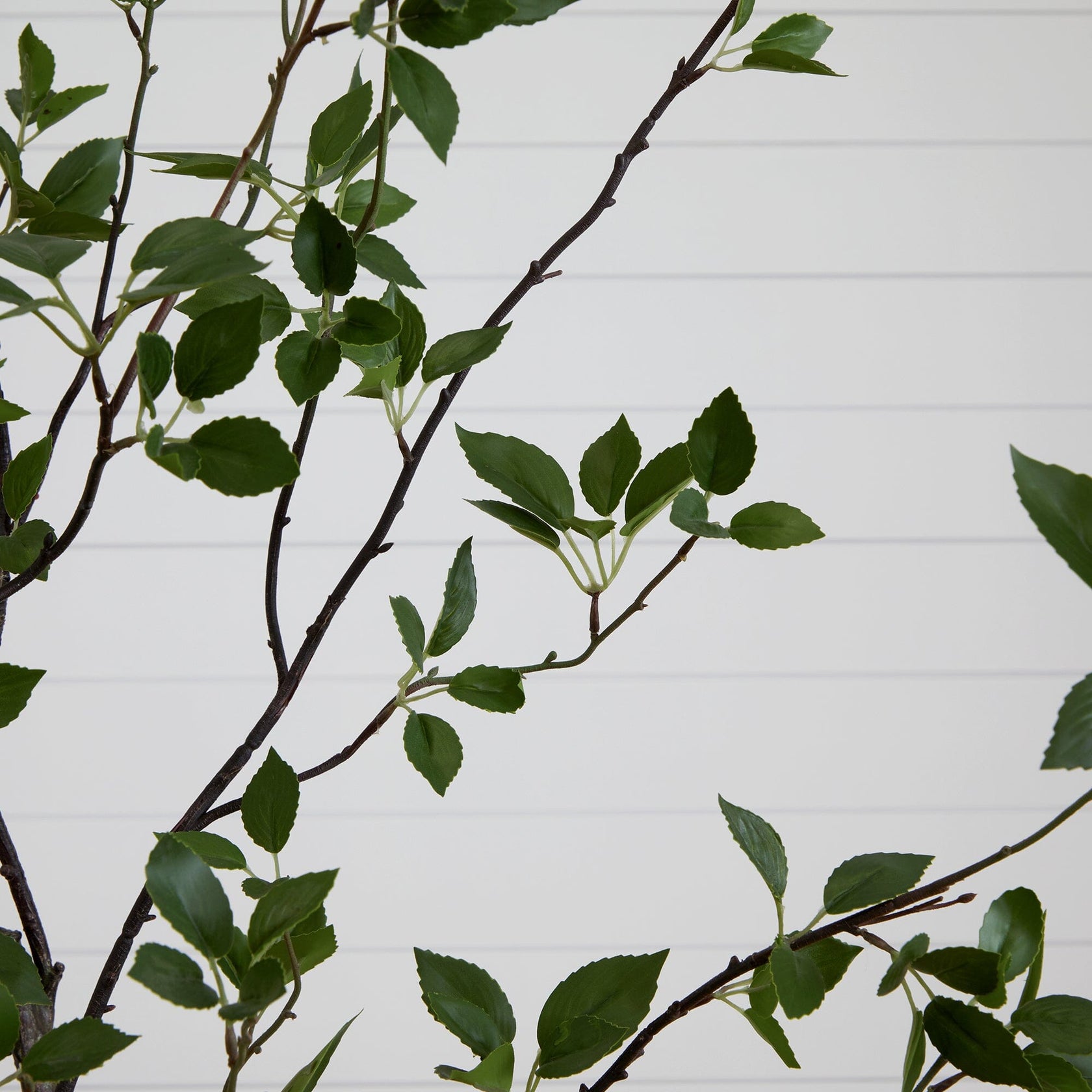 8' Minimalist Citrus Artificial Tree | Nearly Natural