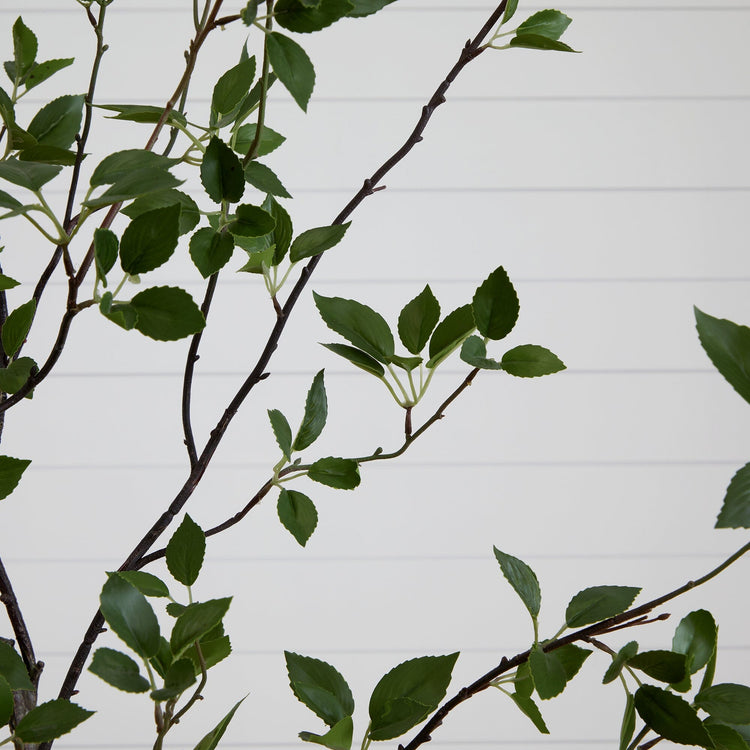 8' Minimalist Citrus Artificial Tree | Nearly Natural