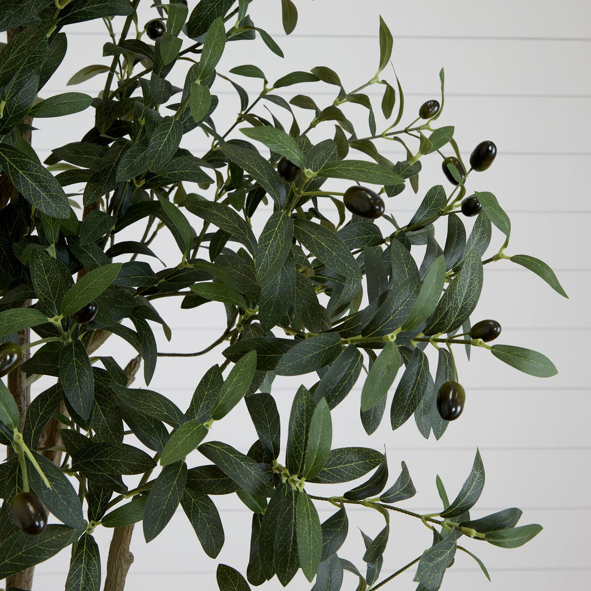 Faux Olive Tree Family | Fake Olive Tree Collection | Nearly Natural