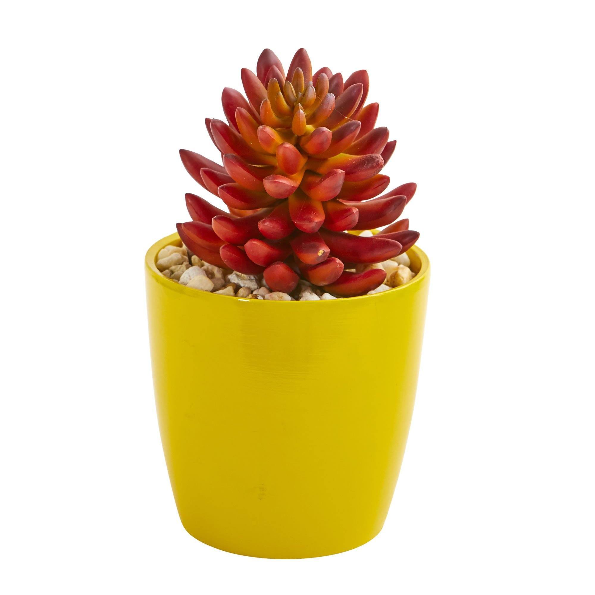 9” Mixed Succulent Artificial Plant in Yellow Vase (Set of 3) | Nearly ...