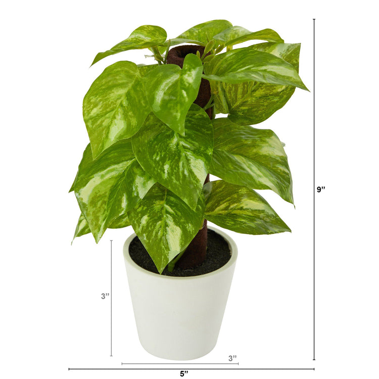 9” Faux Pothos Plant in White Planter (Real Touch) | Nearly Natural