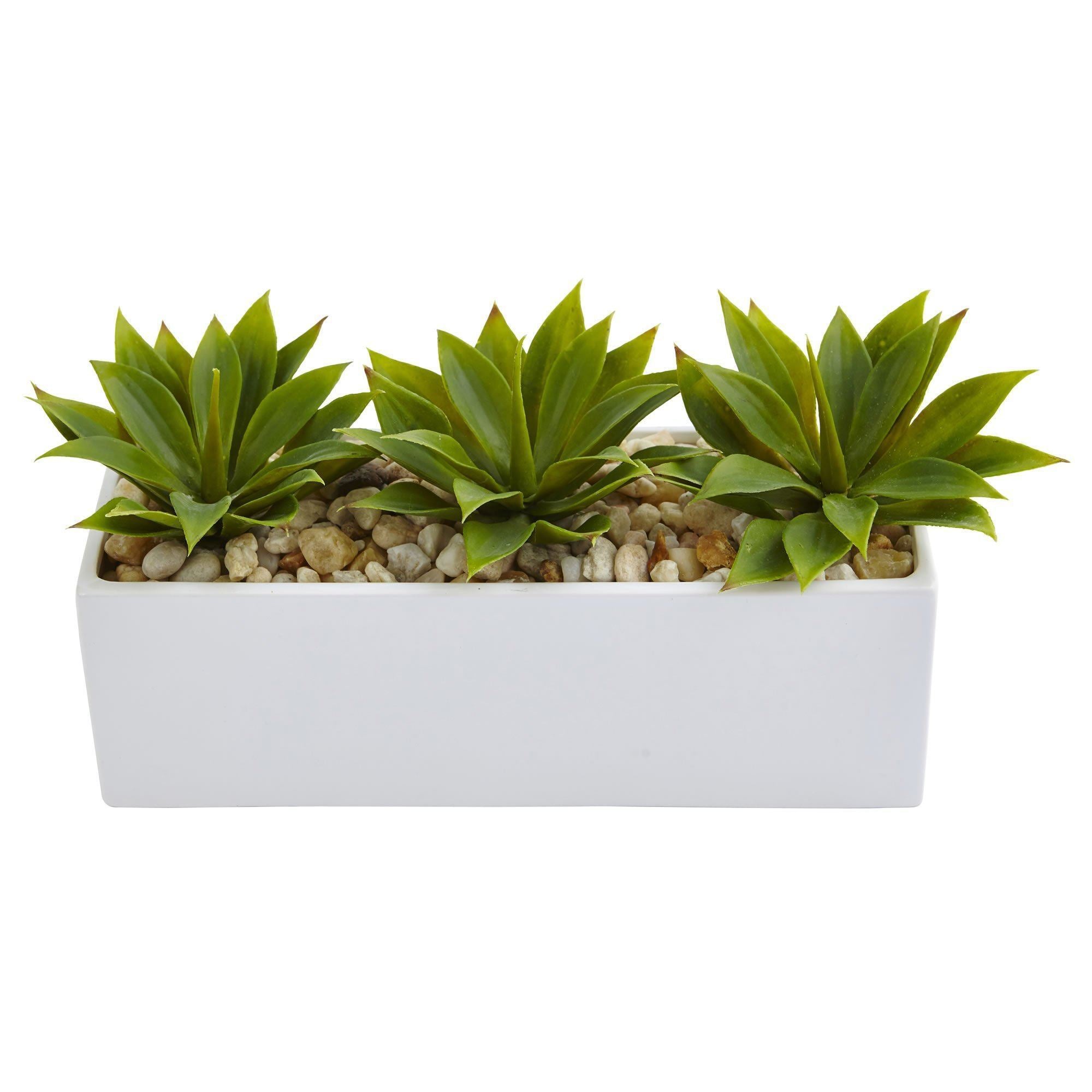Agave Succulent in Rectangular Planter | Nearly Natural