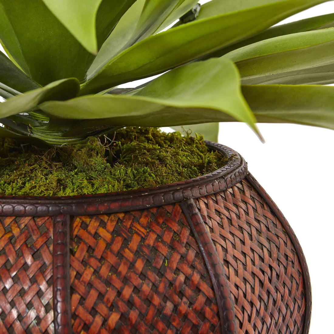Agave Succulent in Weave Planter | Nearly Natural