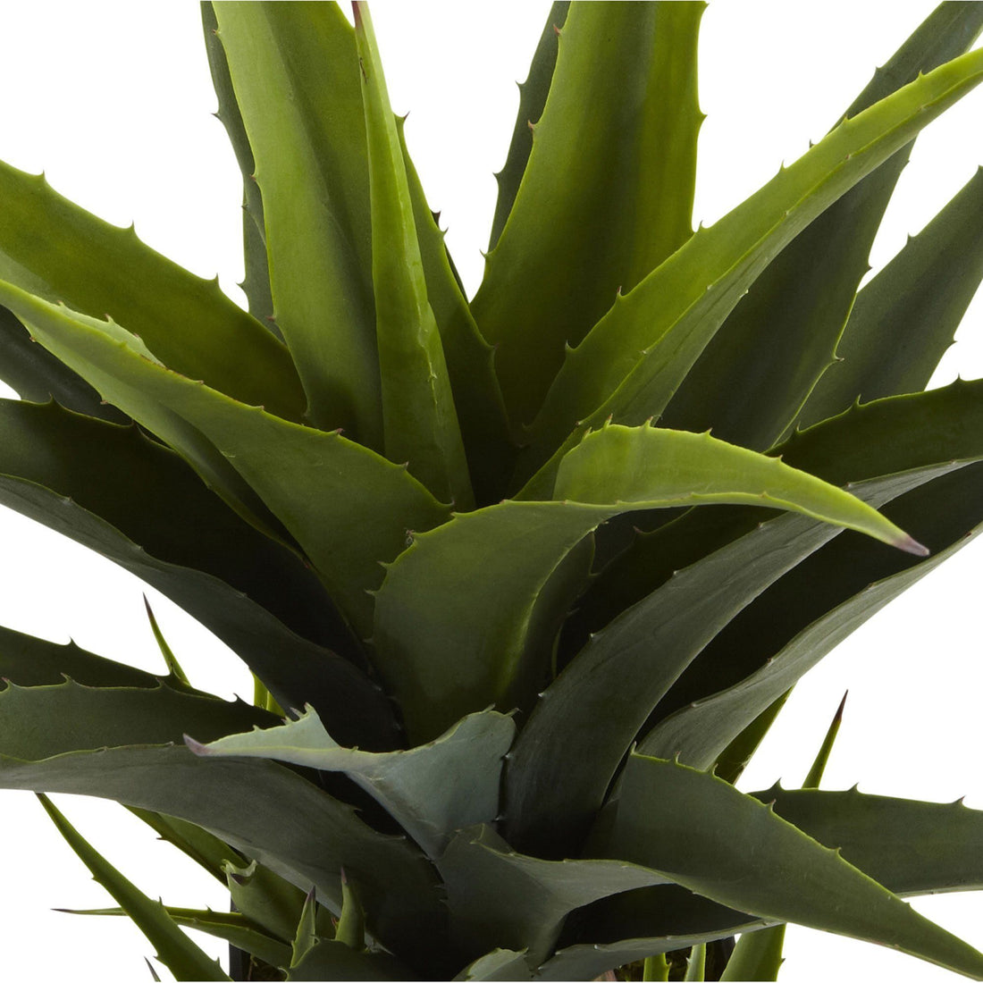 Agave w/Black Planter | Nearly Natural