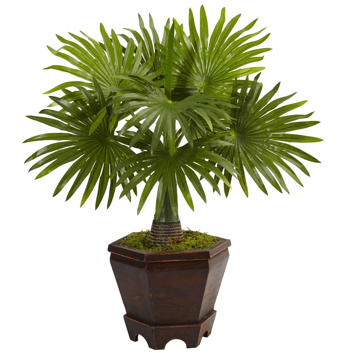 Assorted Mini Palm Trees in Planter (Set of 3) | Nearly Natural