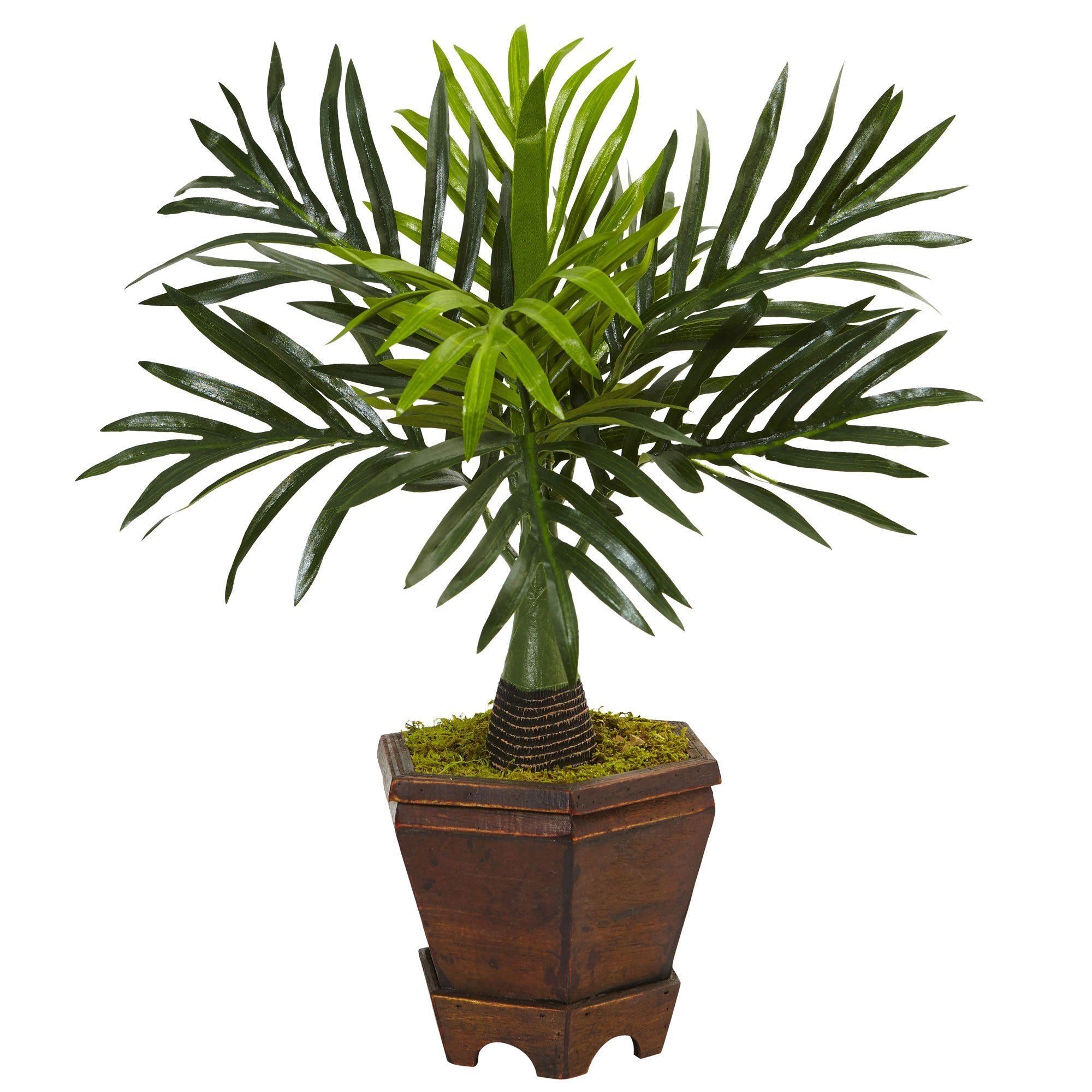 Assorted Mini Palm Trees in Planter (Set of 3) | Nearly Natural