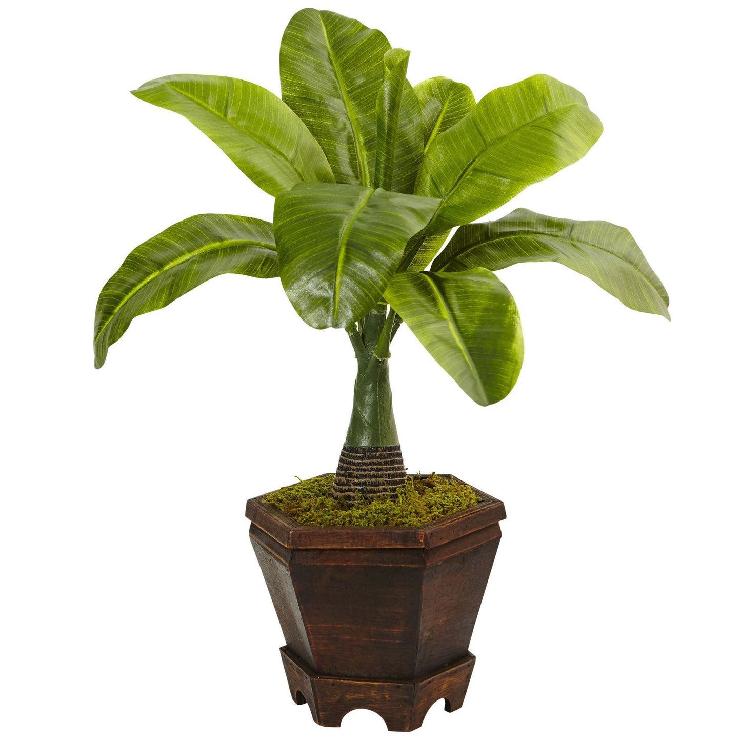 Assorted Mini Palm Trees in Planter (Set of 3) | Nearly Natural