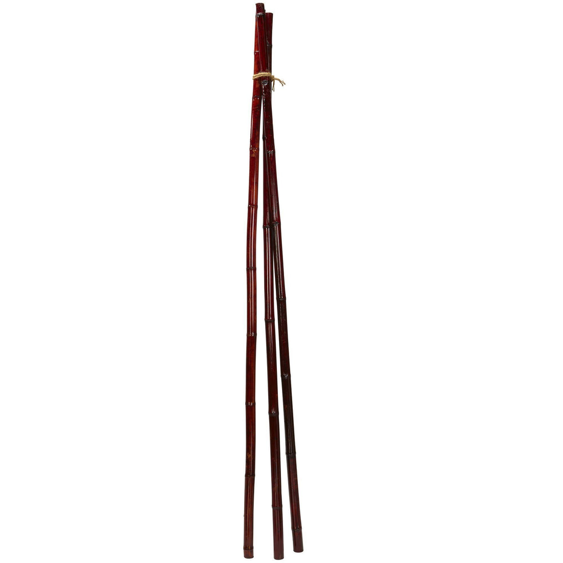 Bamboo Poles (Set of 6) | Nearly Natural