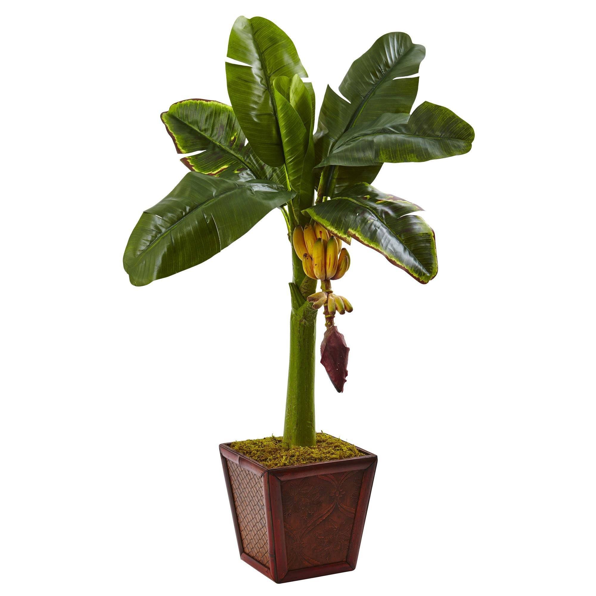 Banana Tree in Wooden Planter | Nearly Natural