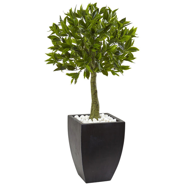 Bay Leaf Topiary with Black Wash Planter UV Resistant (Indoor/Outdoor ...