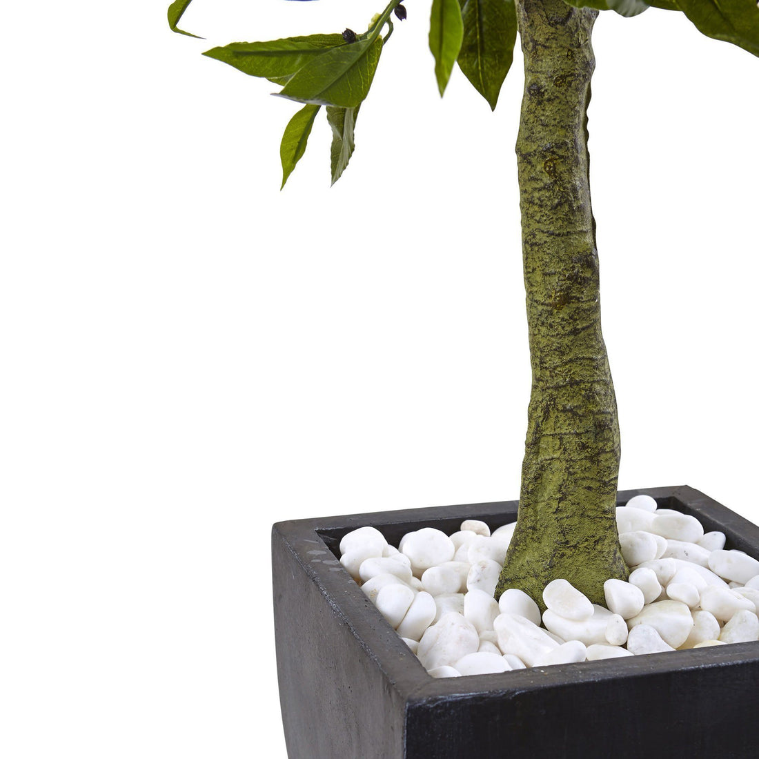 Bay Leaf Topiary with Black Wash Planter UV Resistant (Indoor/Outdoor ...