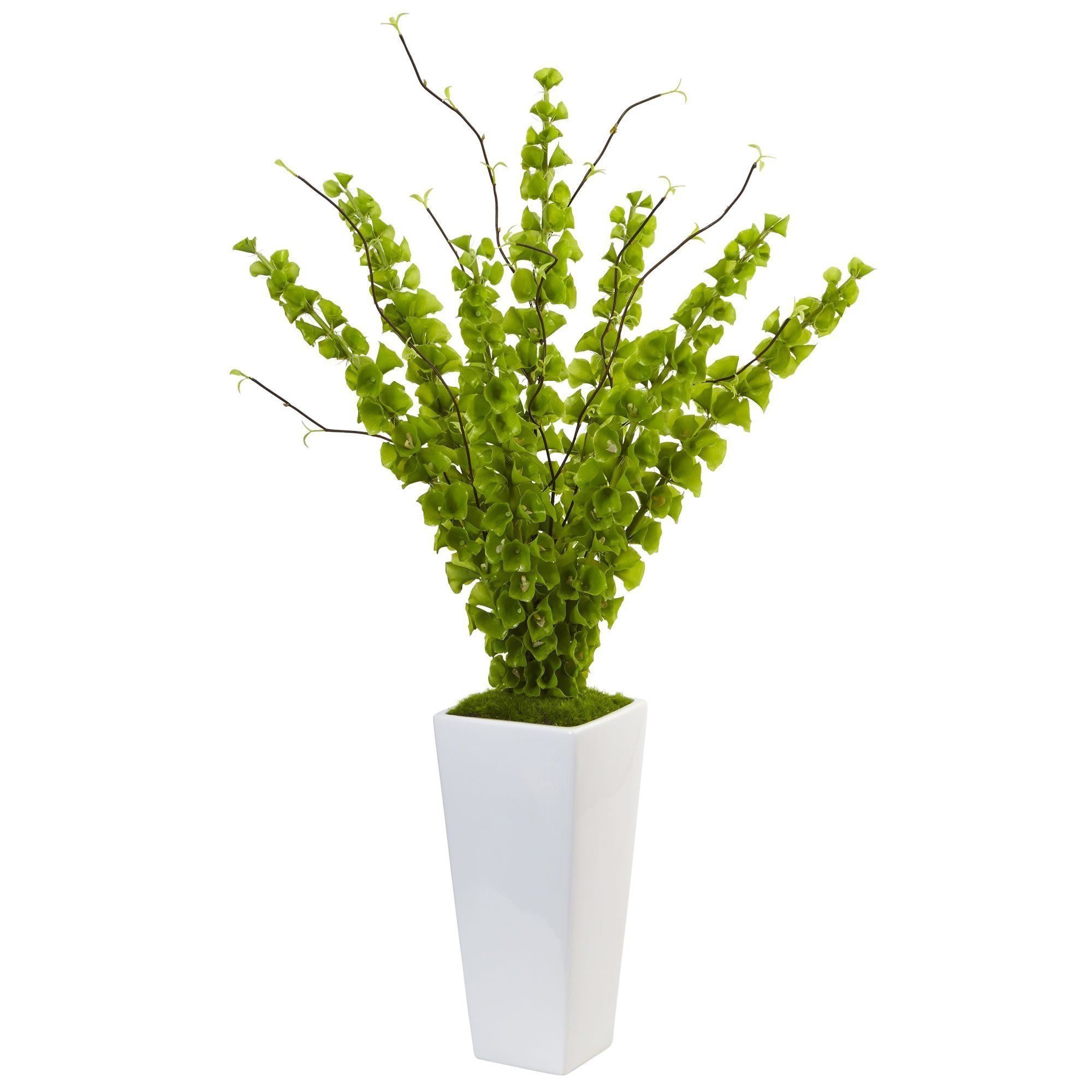 Bells of Ireland in White Planter | Nearly Natural