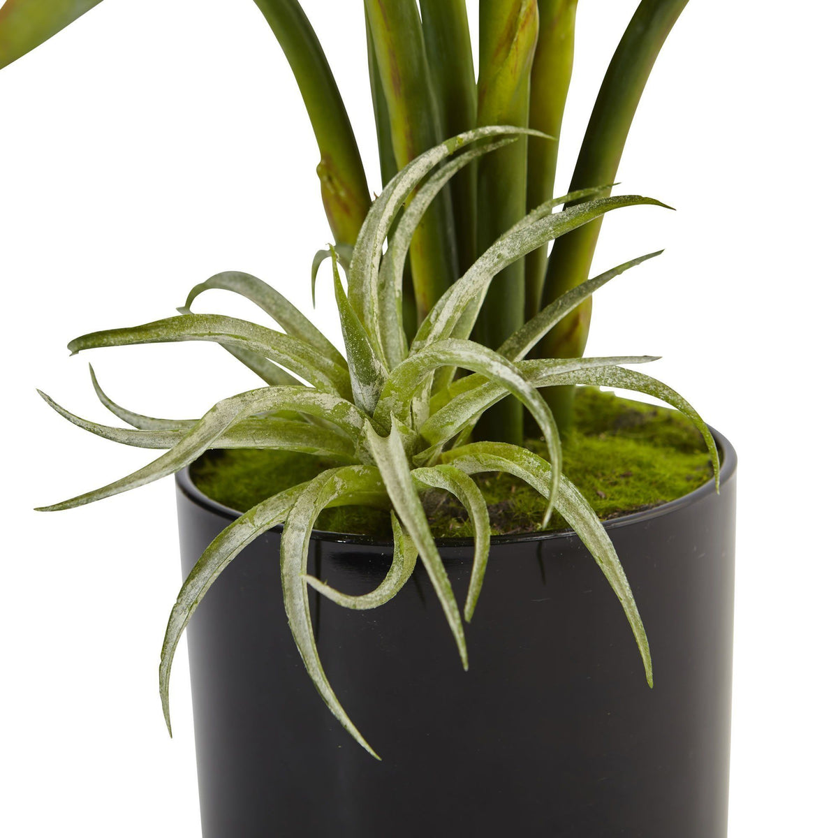 Fake Tropical Arrangements | Artificial Tropical Plants | Nearly Natural
