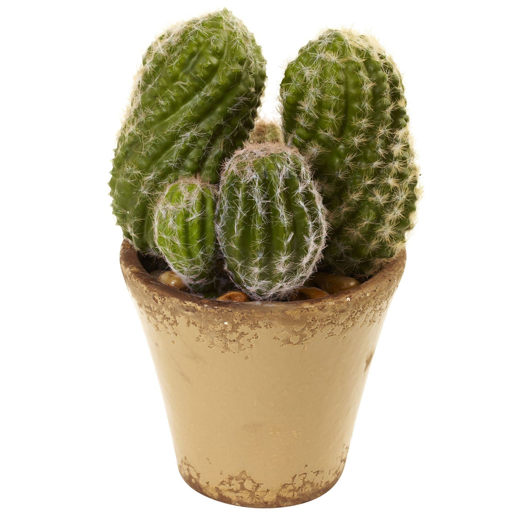 Cactus Garden w/Ceramic Planter | Nearly Natural