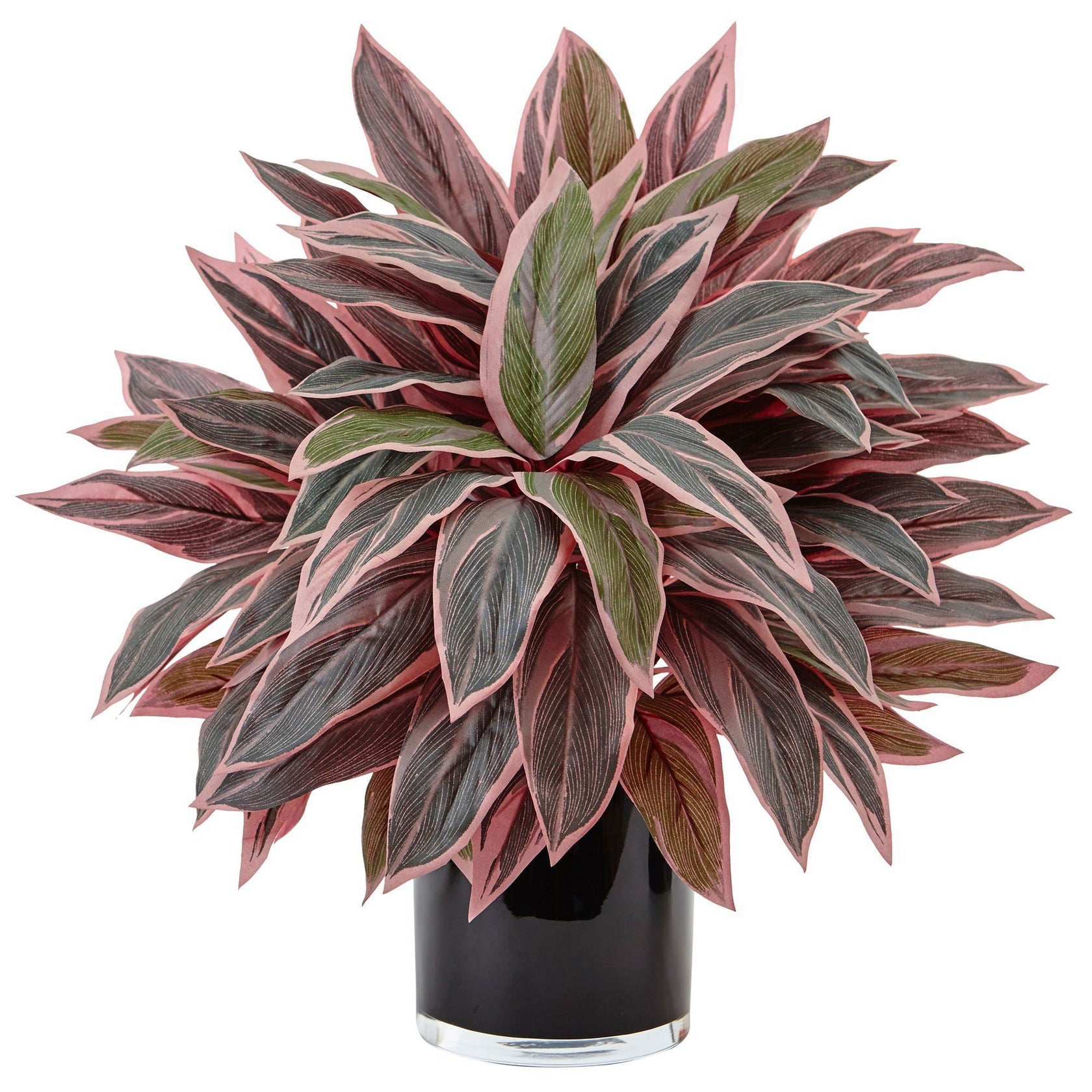 Caladium in Black Glossy Planter | Nearly Natural