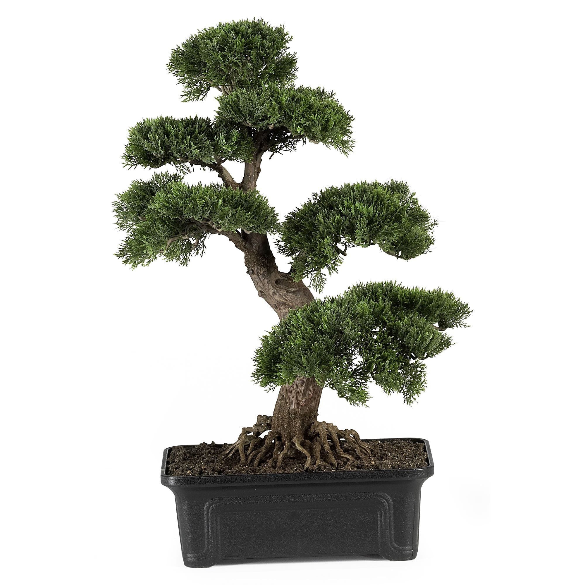 Cedar Bonsai 24" Silk Plant | Nearly Natural"