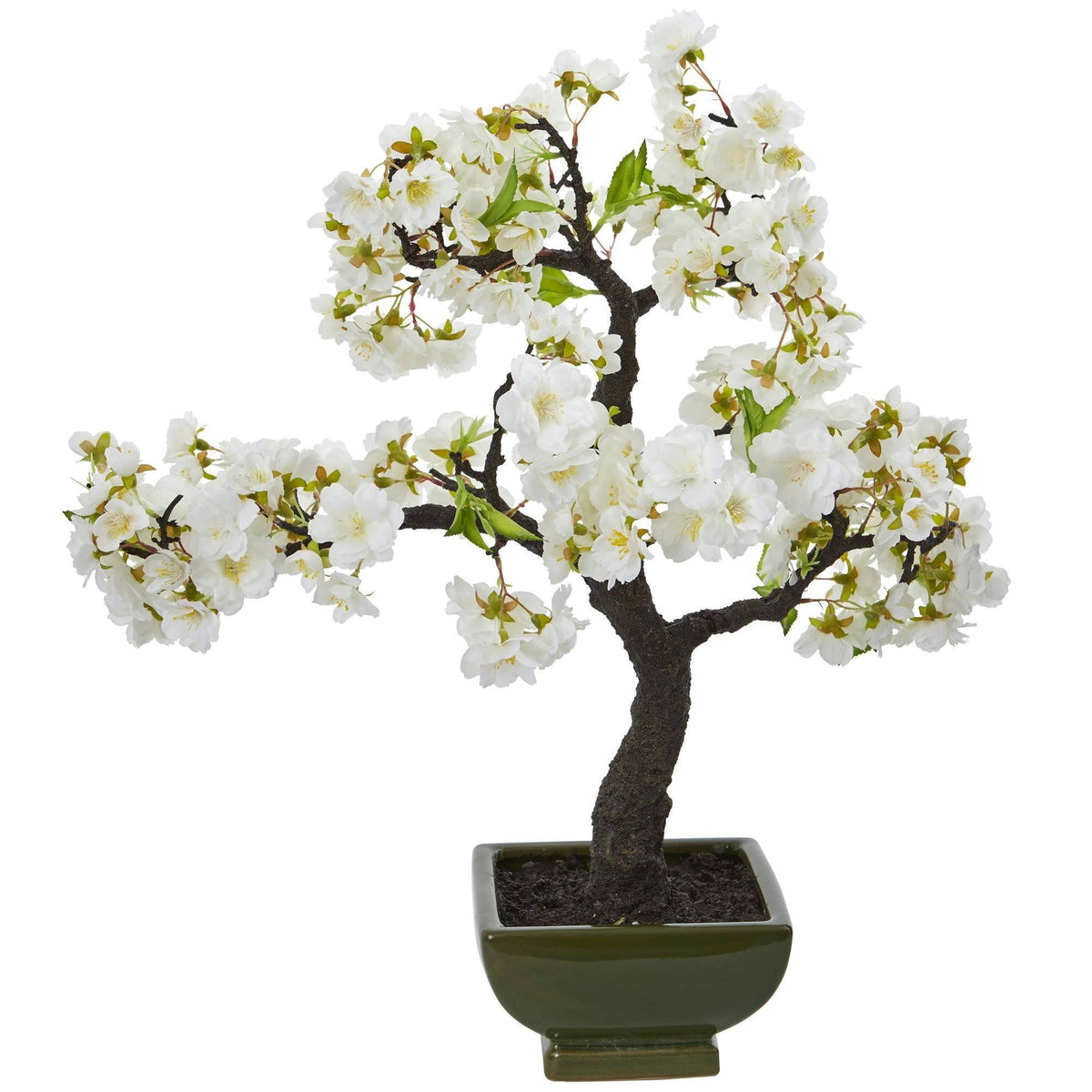 Shop Now Lifelike Artificial Bonsai Trees – Nearly Natural