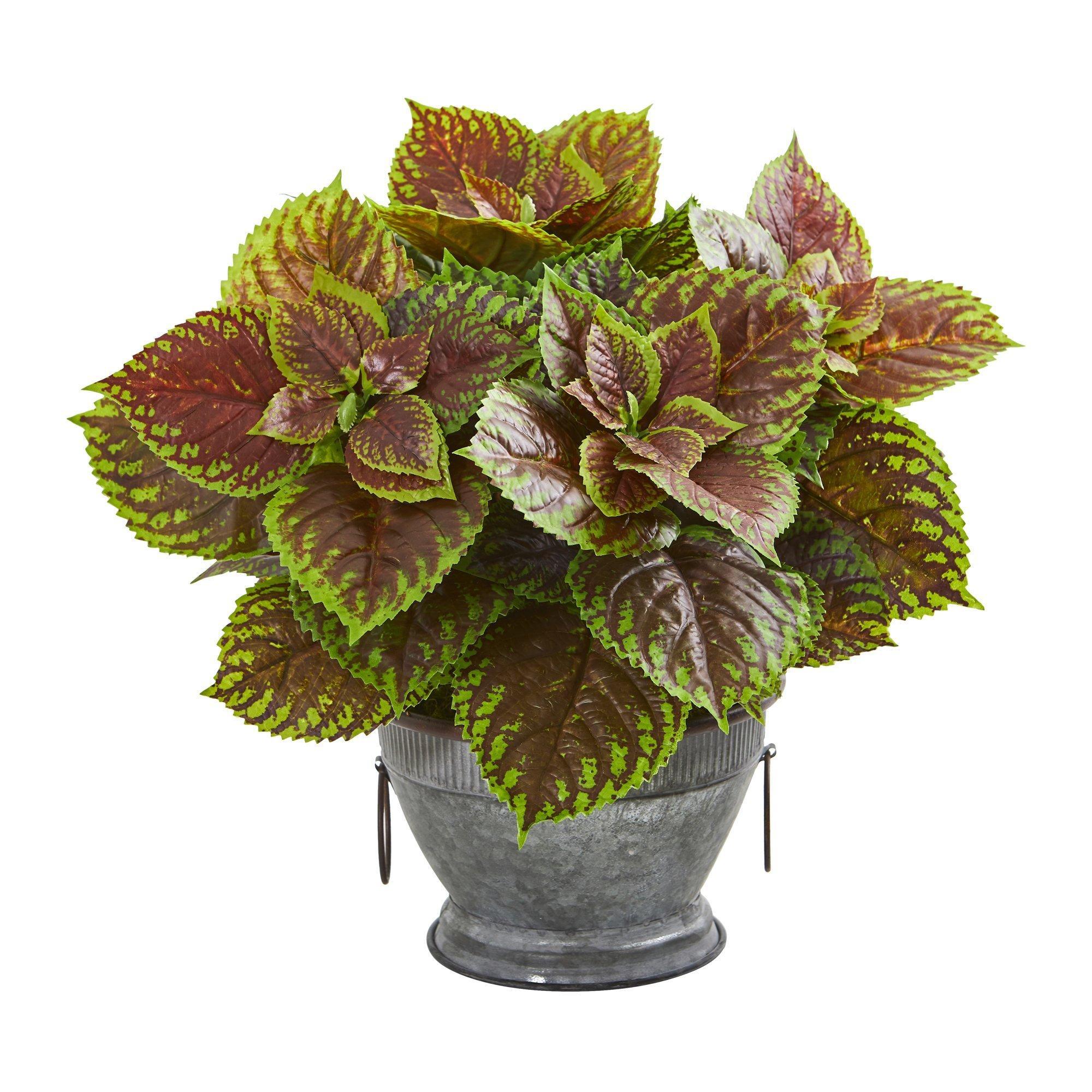 Coleus Artificial Plant in Decorative Bowl (Real Touch) | Nearly Natural
