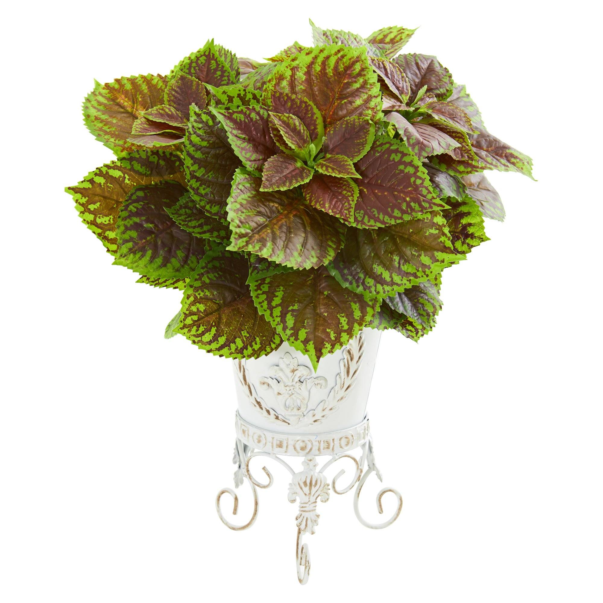 Coleus Artificial Plant in White Planter (Real Touch) | Nearly Natural