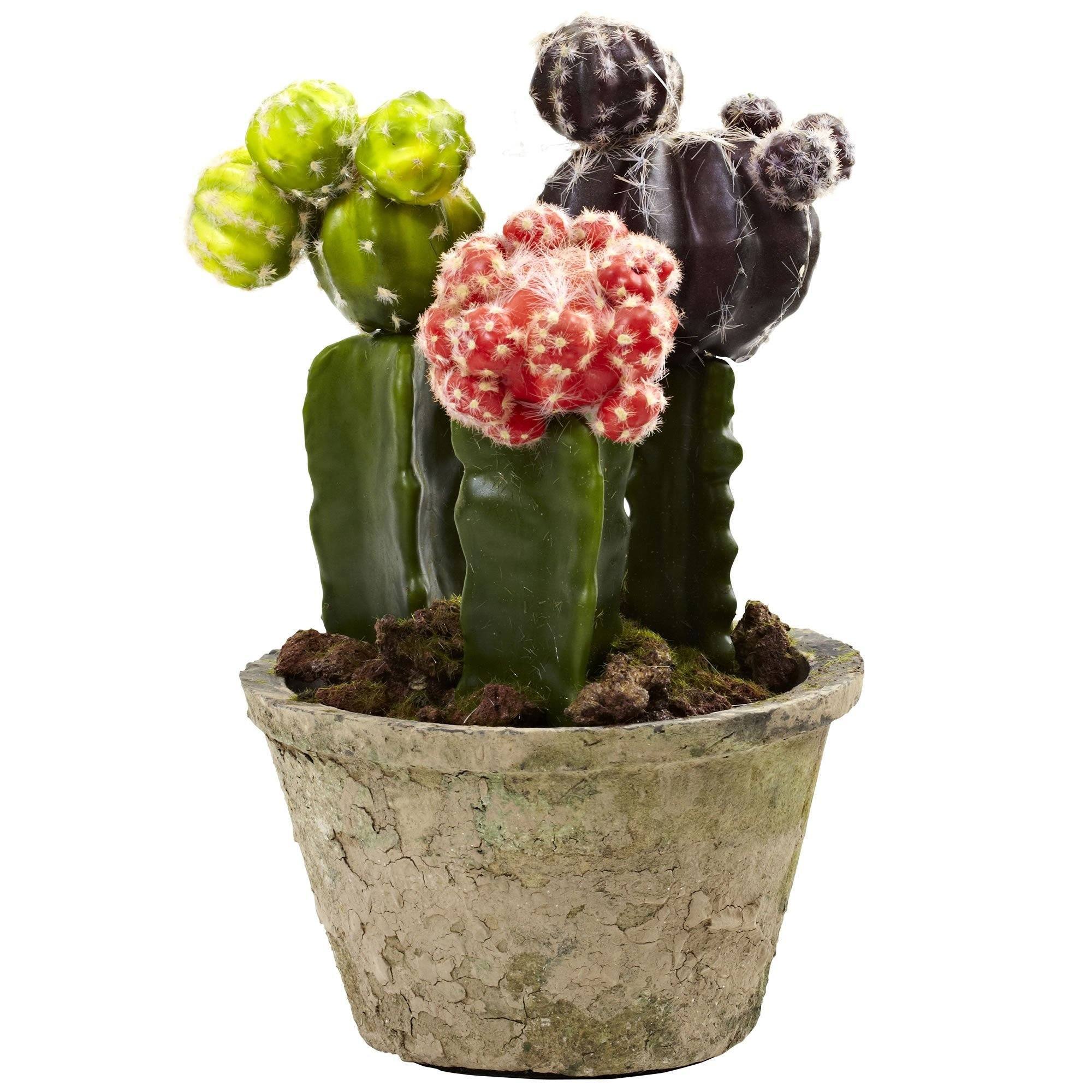 Colorful Cactus Gardens (Set of 2) | Nearly Natural