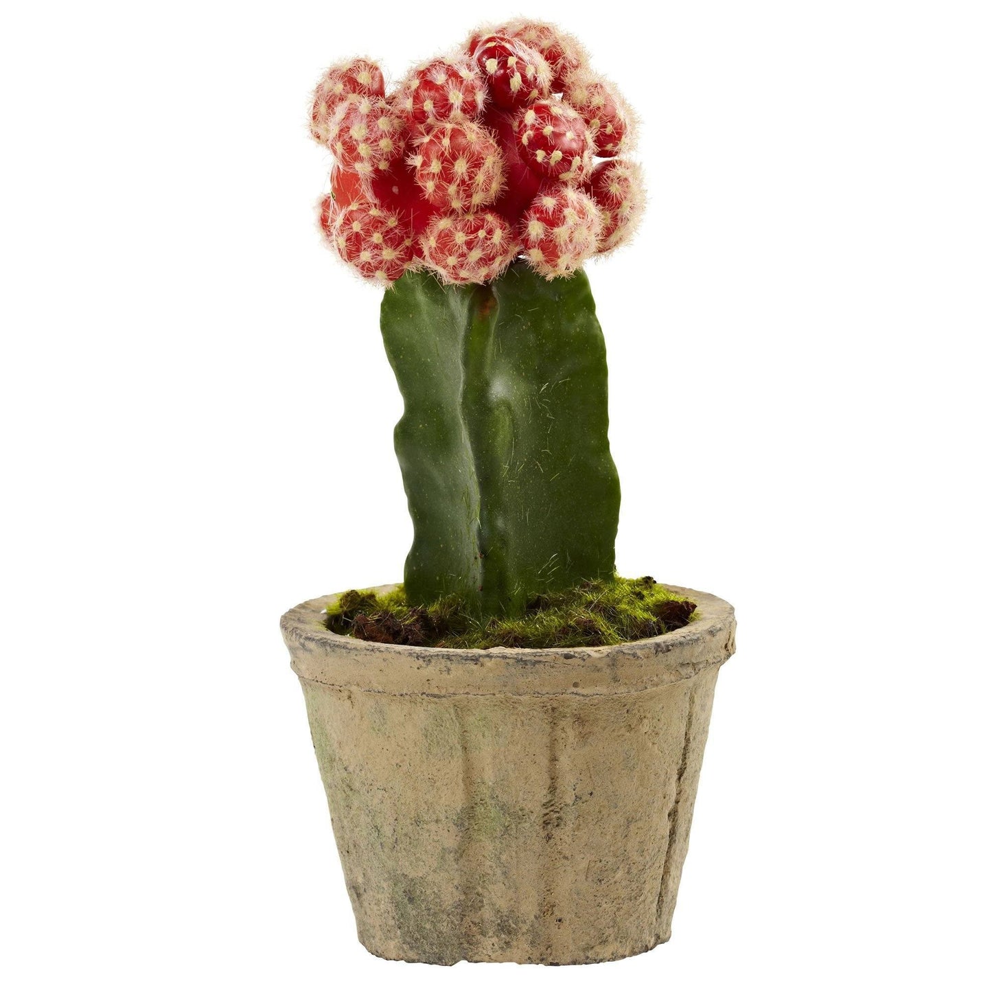 Colorful Cactus (Set of 3) | Nearly Natural