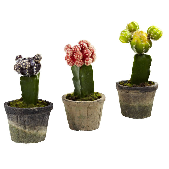 Colorful Cactus (Set of 3) | Nearly Natural