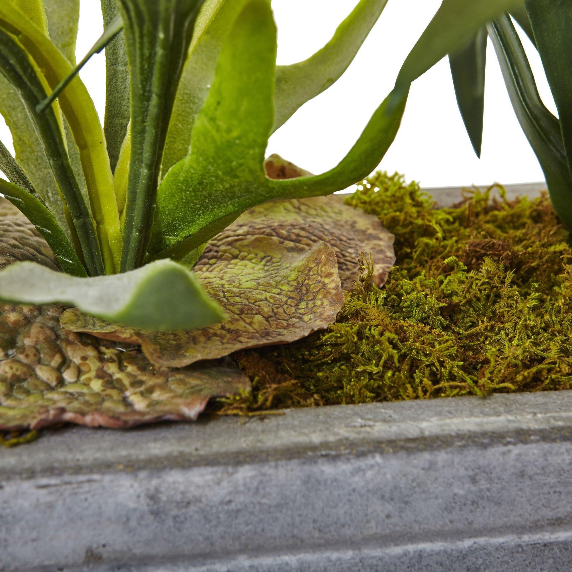 Dancing Lady and Staghorn in Stone Planter | Nearly Natural